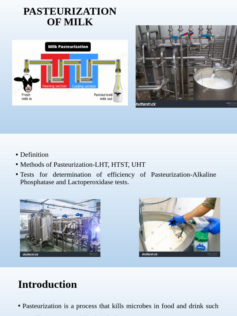 Pasteurization of Milk | PDF | Food Preservation | Milk