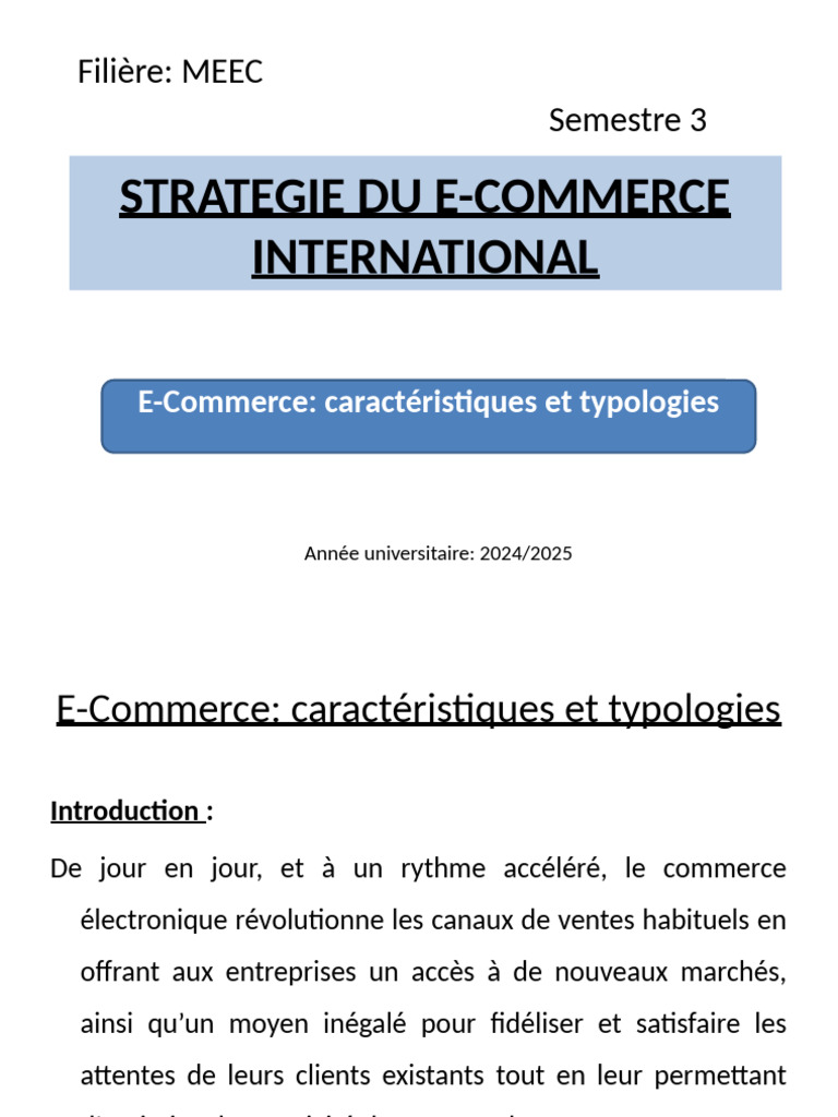 E-Commerce 1 | PDF | Commerce électronique | Informatique