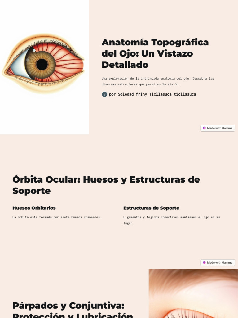 Anatomía Ocular Detallada | PDF