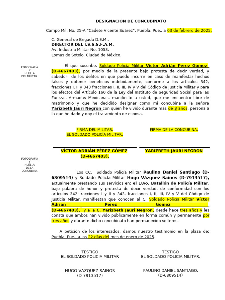 DESIGNACION CONCUBINA Vet | PDF | Militar
