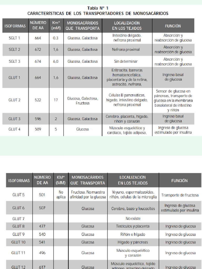 GLUTS | PDF