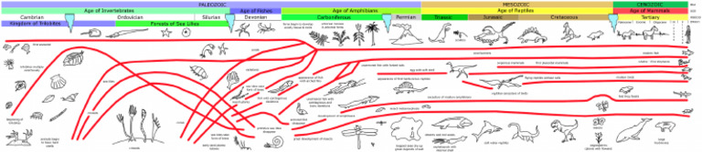 Timeline of Life PDF - Cronologia de La Vida | PDF