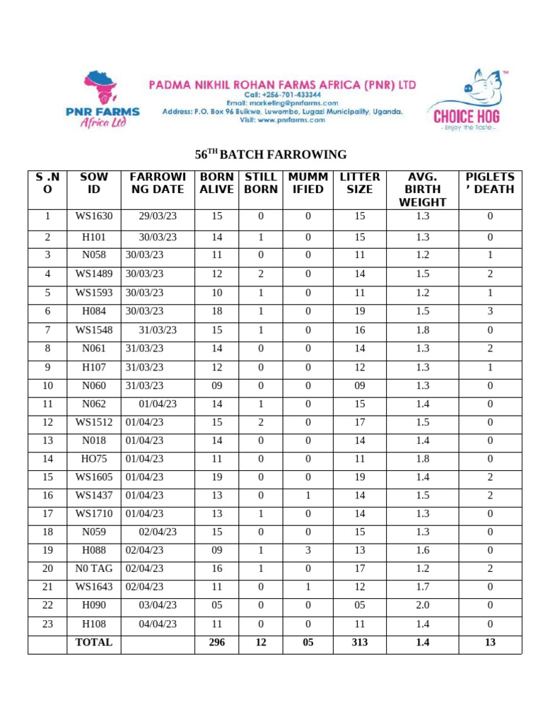 56TH Batch Farrowing - 035518 | PDF