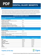 Flex Pa Product Brochure | PDF | Insurance | Hiv/Aids