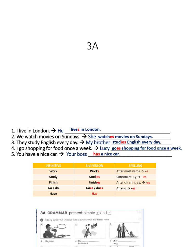 3rd Person Verb Conjugation Guide | PDF