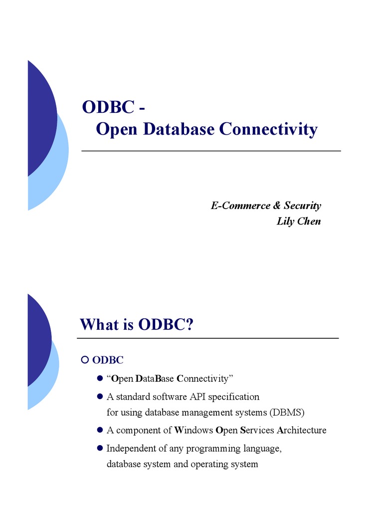 ODBC | PDF | Databases | Information Technology Management