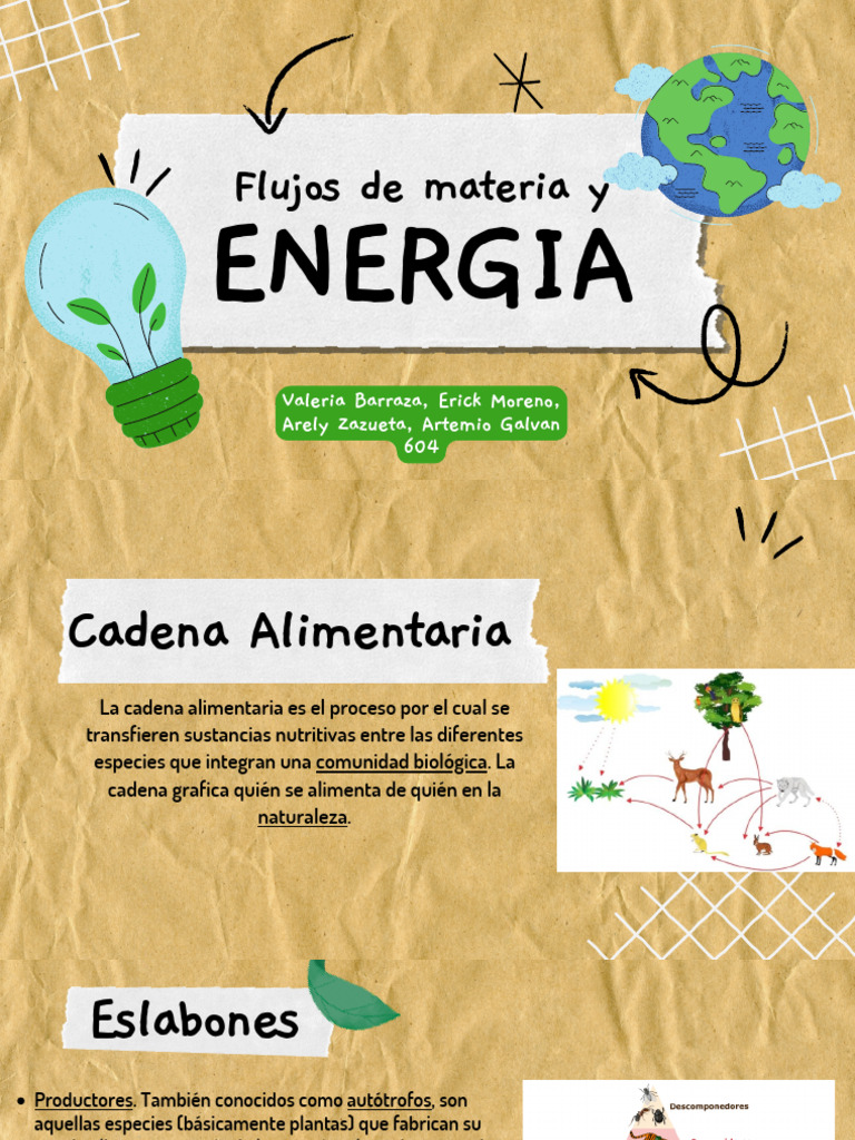 Flujos de la materia y energia | PDF | Biología | Ecología