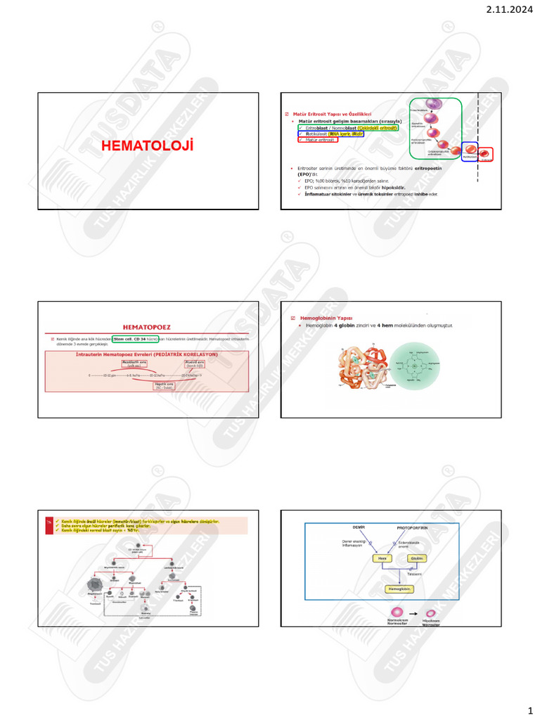 Hematoloji̇ Itf Editable | PDF