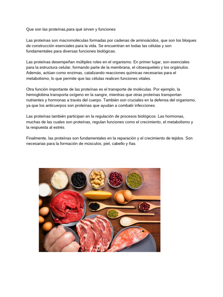 Que Son Las Proteínas, para Qué Sirven y Funciones | PDF