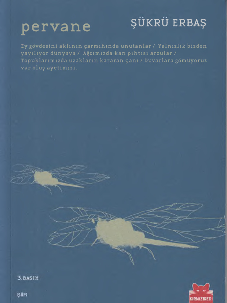 Pervane Şükrü Erbaş | PDF