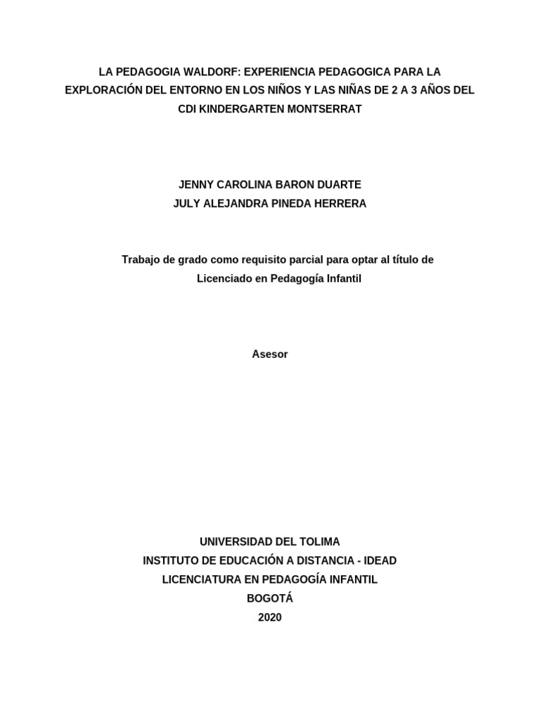 Proyecto Alejandra Pineda y Carolina Baron VII Semestre | PDF ...