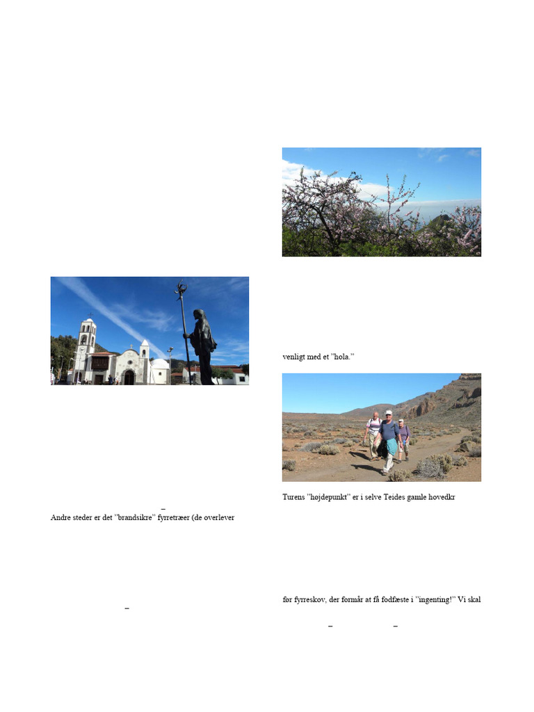 Tourist Guide - Tenerife | PDF