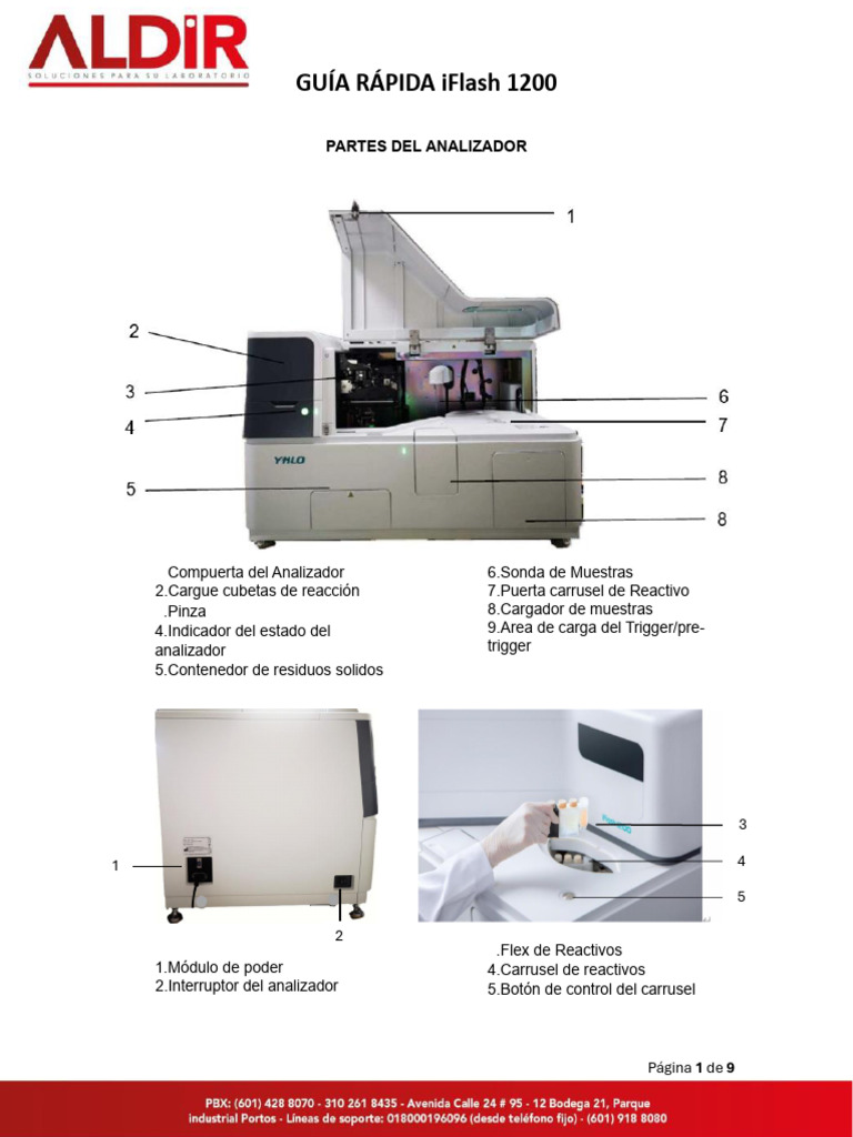GUIA RAPIDA Iflash 1200 | PDF | Anticuerpo | Inmunología