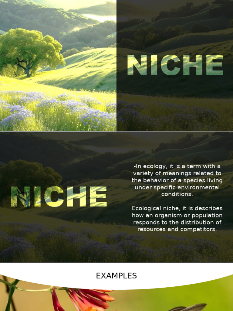 Environmental Science | PDF | Ecological Niche | Ecology