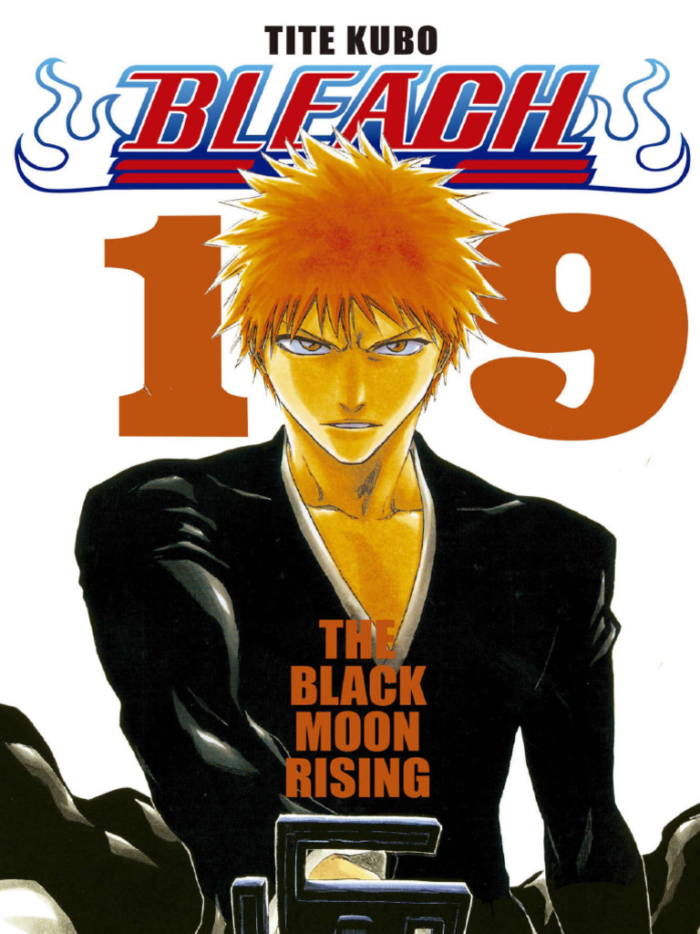 Bleach - Volume 19 | PDF