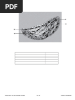 P3-Topax 990 | PDF | Disinfectant | Water