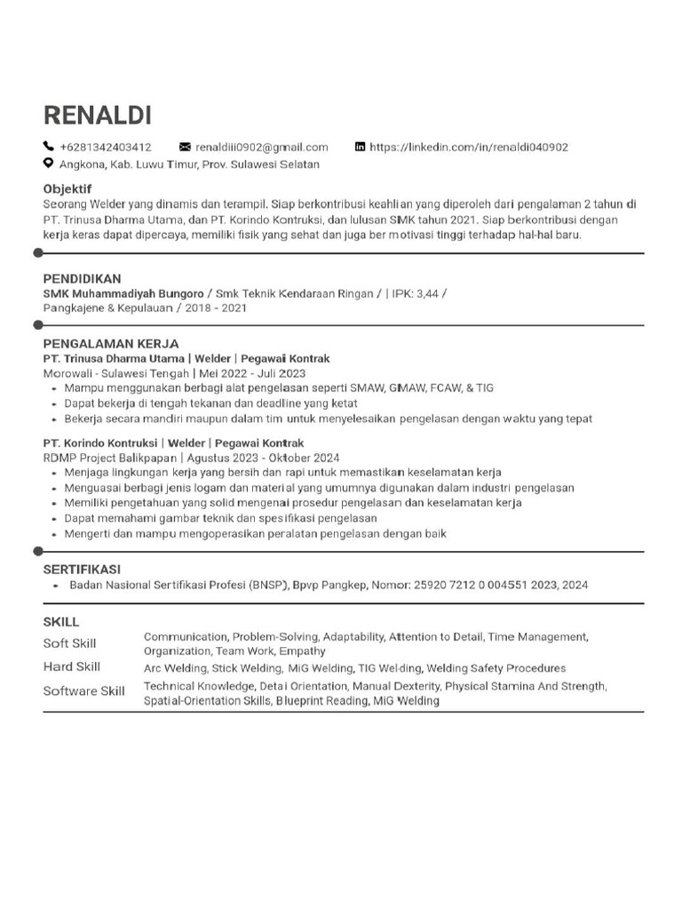 Curriculum-Vitae-(CV)-Renaldi | PDF