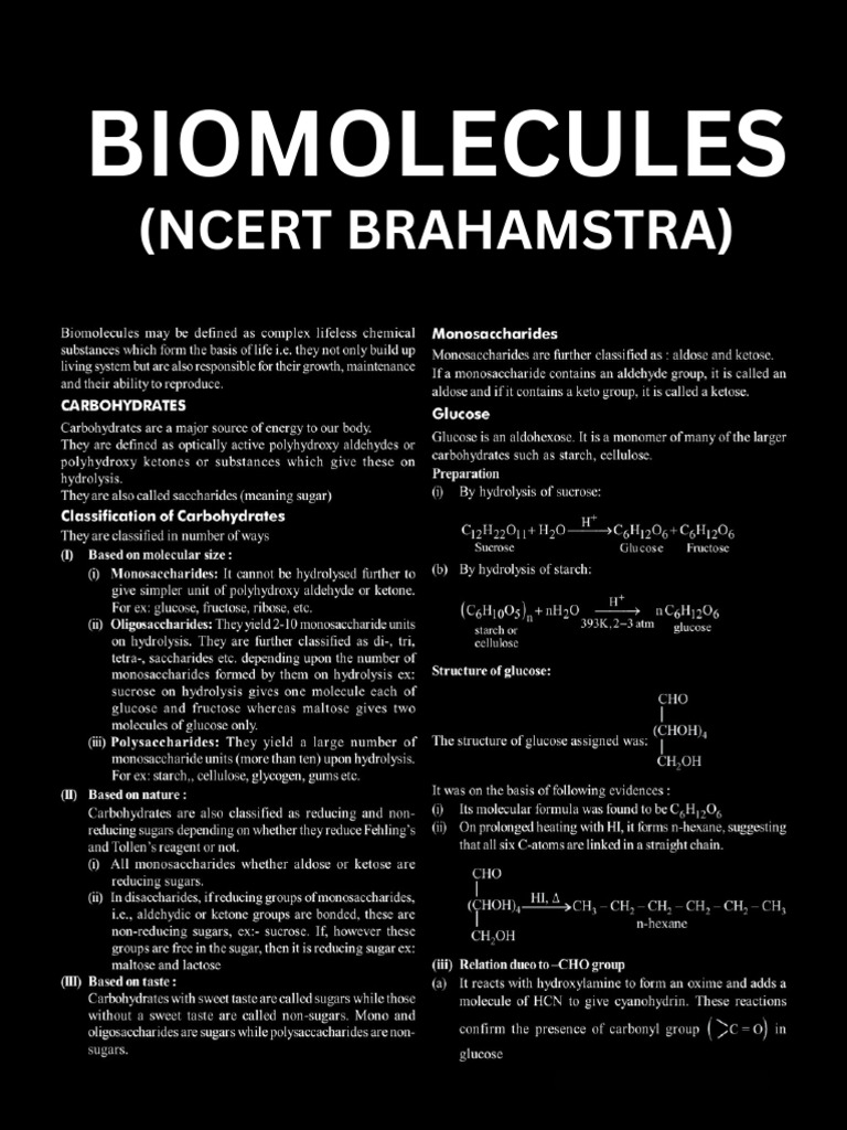 Understanding Biomolecules: NCERT Guide | PDF