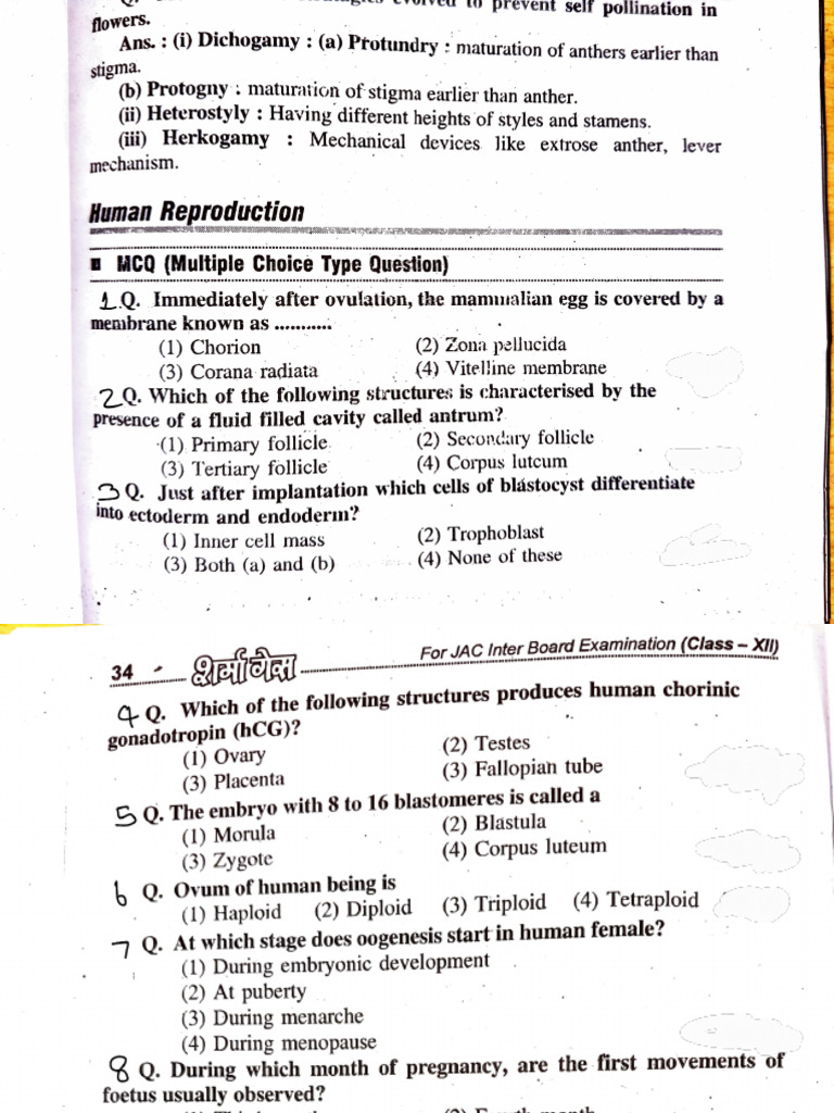 Human Reproduction Sharma Guess Paper | PDF
