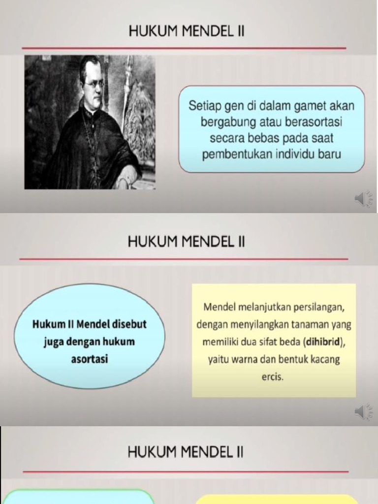 Dihibrida - Section V | PDF