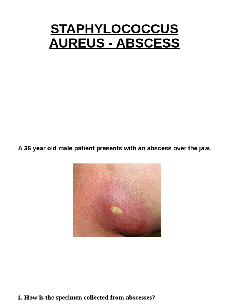 31. Staphylococcus aureus case - abscess | PDF