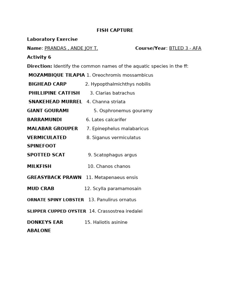 Laboratory Exercise 6 | PDF