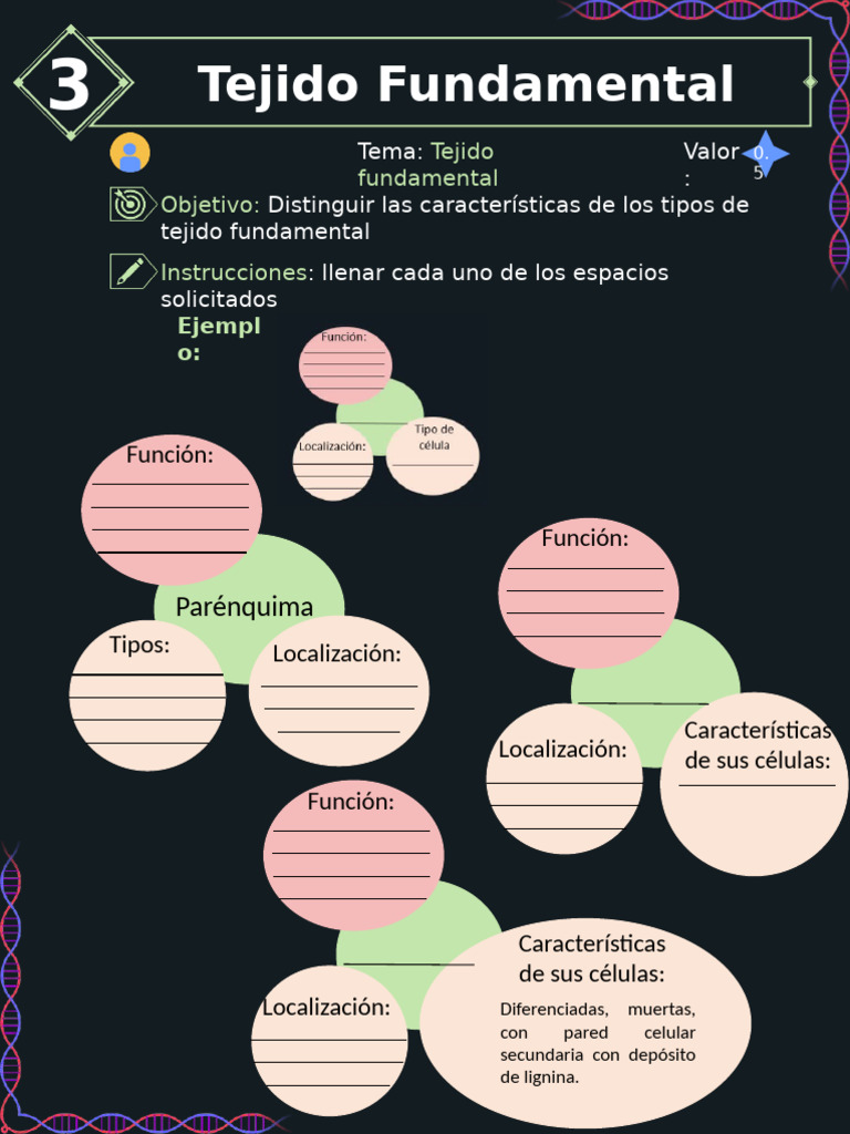 Act. 3 Tejido Fundamental | PDF