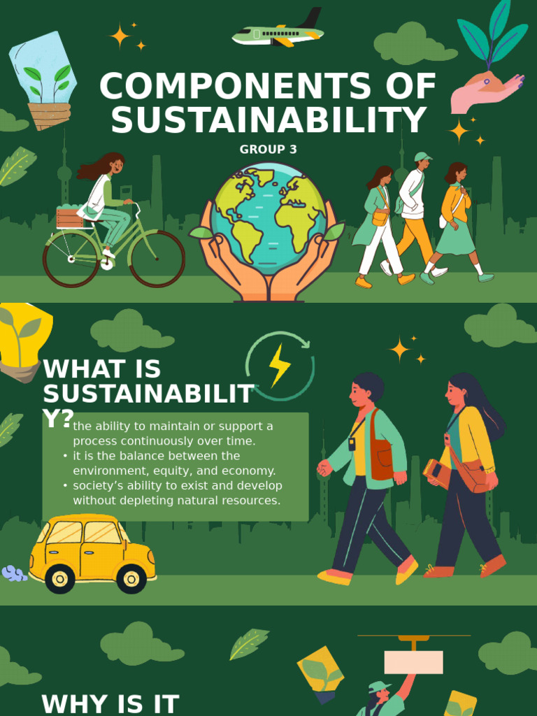Components of Sustainability-Group 3 | PDF