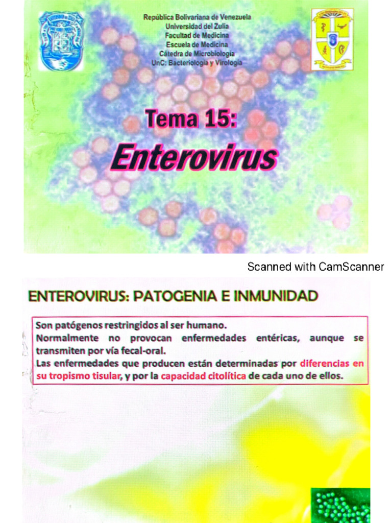 Enterovirus | PDF