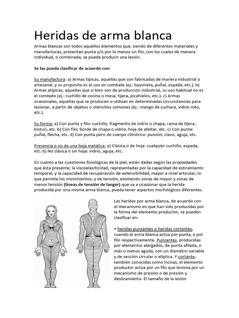 mod 3 - 1 | PDF | Cuchillo | Bayoneta