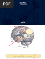 Avaliação Neuropsicológica NEPSY-II Adaptado | PDF | Neuropsicologia ...