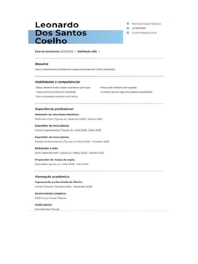 Curriculo Leo | PDF