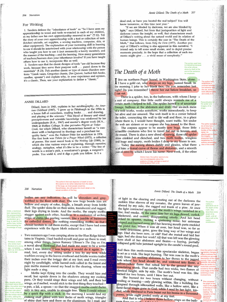 Dillard's Moth: Writing's Consuming Flame | PDF | Essays