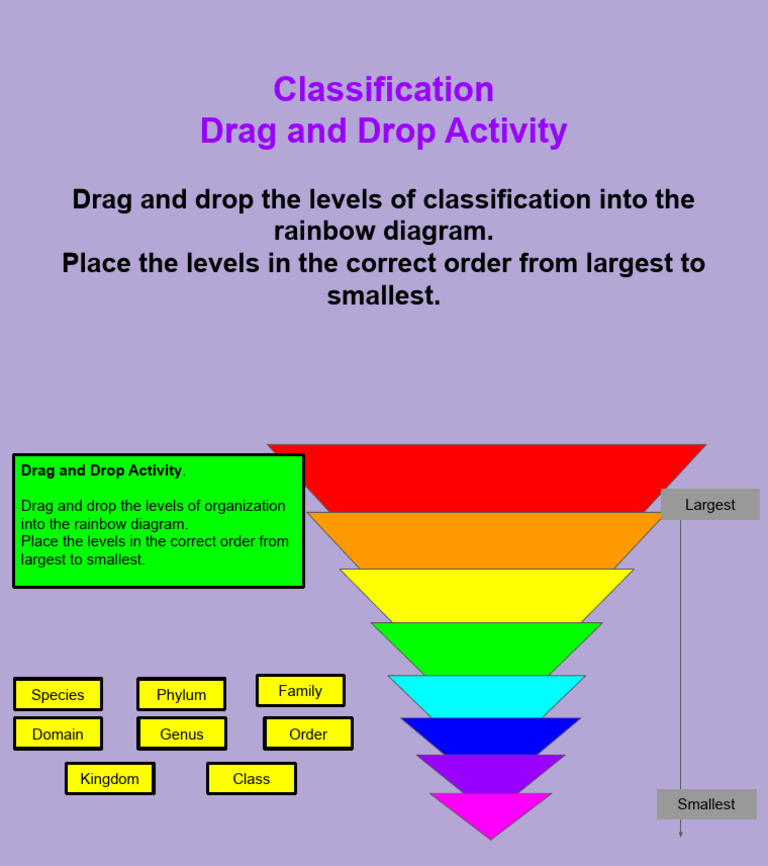 Copy of Classification Drag and Drop Activity | PDF