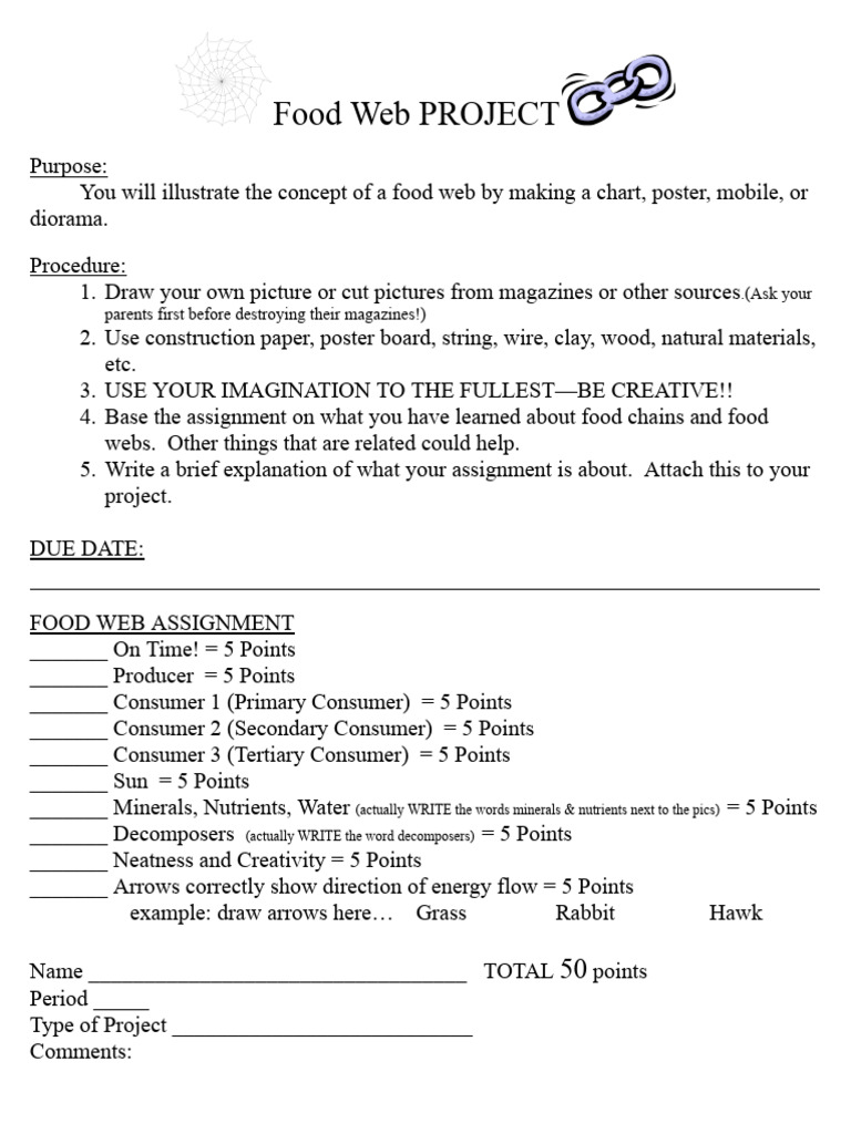 Food Web PROJECT | PDF