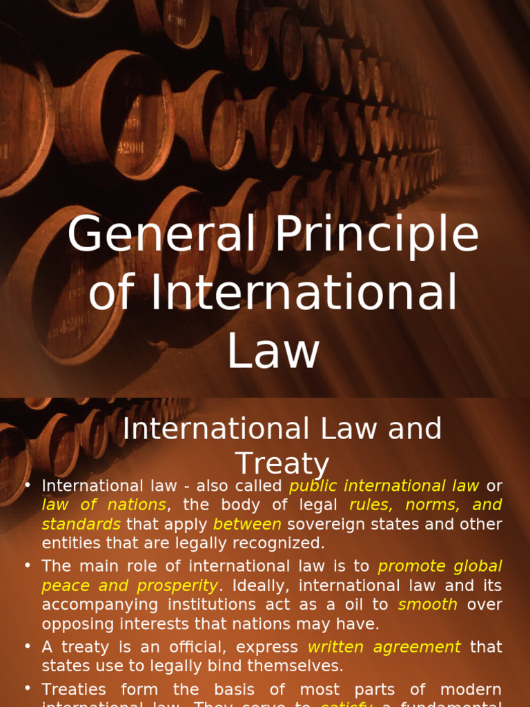 Overview of International Law Principles | PDF | International Law | Treaty
