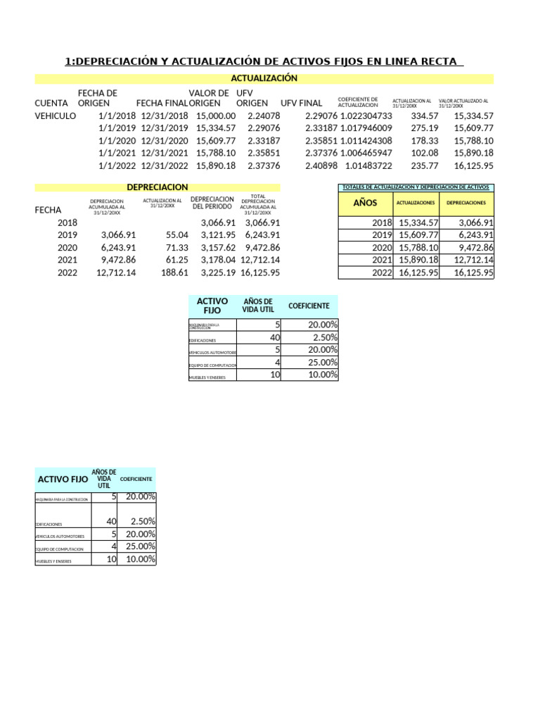 Formato Info | PDF | Depreciación | Activo fijo