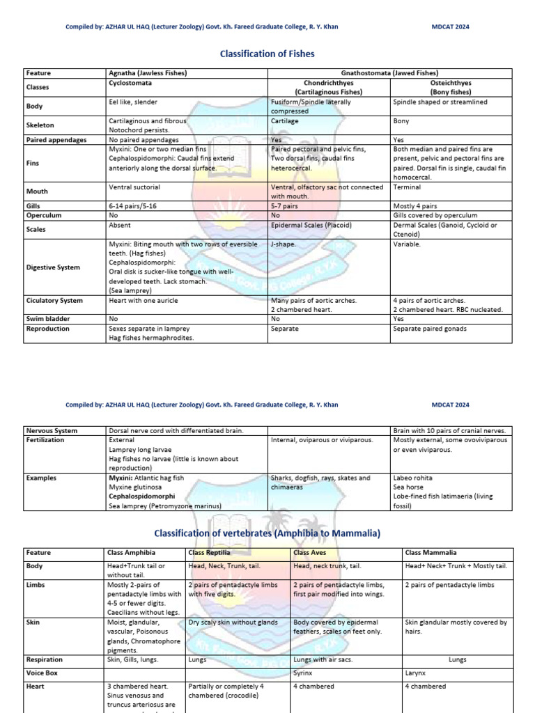 MDCAT 2024: Fish & Vertebrate Classification | PDF | Fish | Zoology