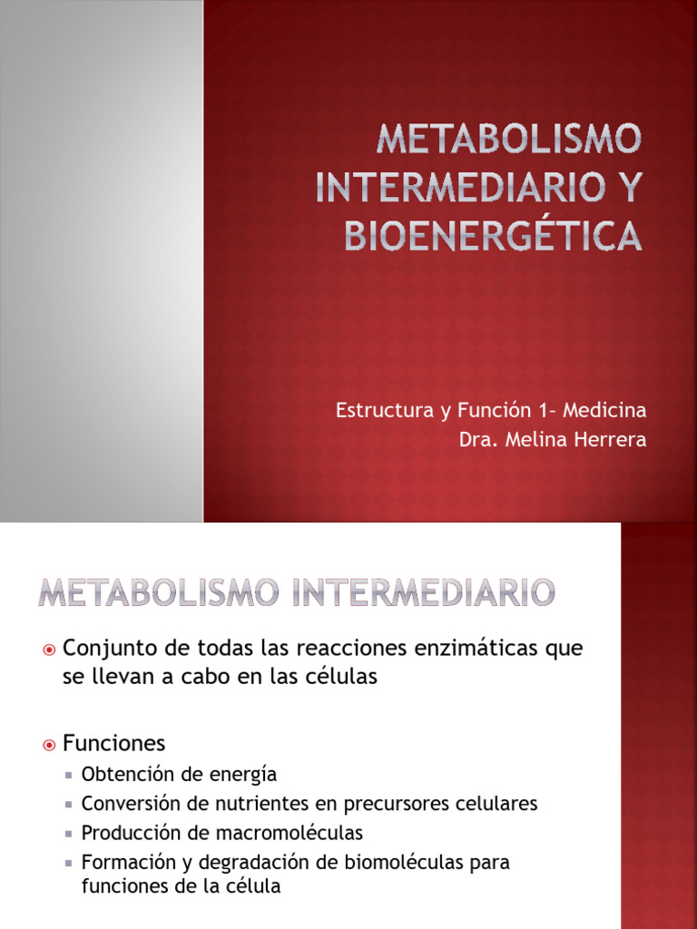 TEORÍA 6 - Metabolismo Intermediario y Bioenergética | PDF | Trifosfato de adenosina ...