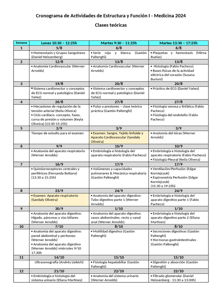 2C Cronograma EyF I 2024 2 | PDF | Anatomía | Sistema digestivo humano