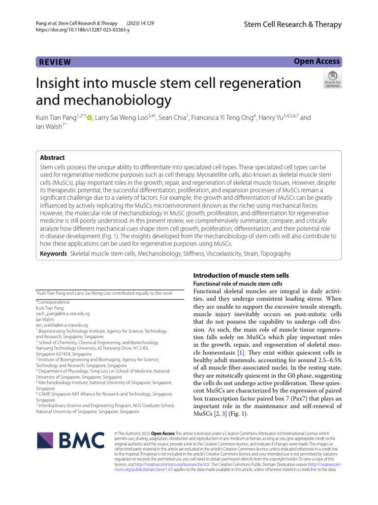 Insight Into Muscle Stem Cell Regeneration and Mechanobiology | PDF ...