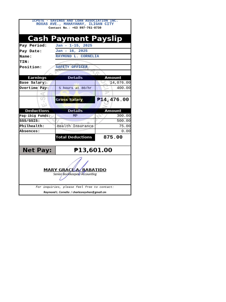 Payslip | PDF