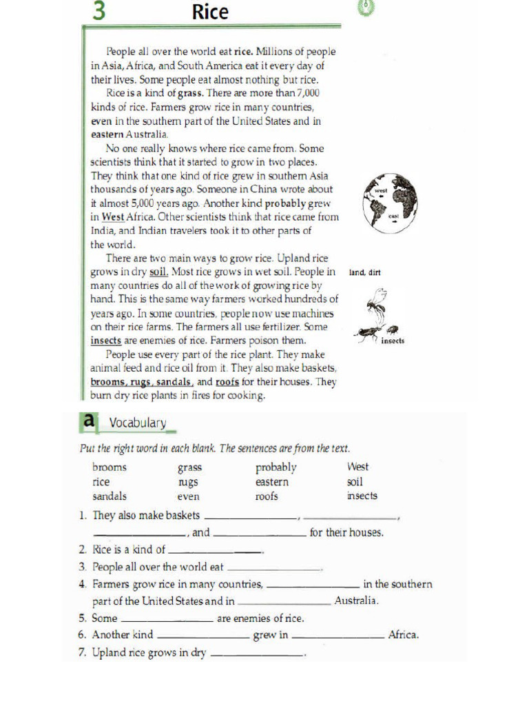 2 - Rice | PDF