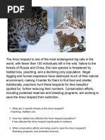 Amur Leopard English Presentation | PDF | Endangered Species | Leopard