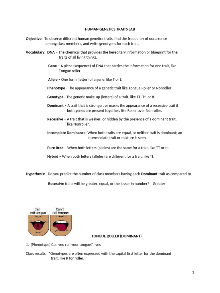 Sheikh - Lab - HUMAN GENETICS TRAITS | PDF | Dominance (Genetics ...