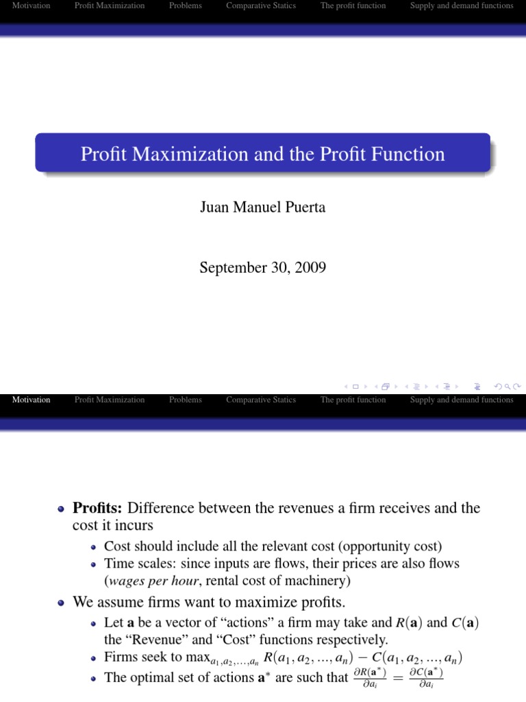 Profit Maximization and The Profit Function: Juan Manuel Puerta | PDF