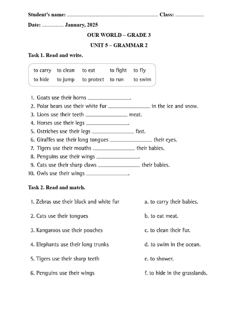 Grade 3 Grammar Exercises | PDF