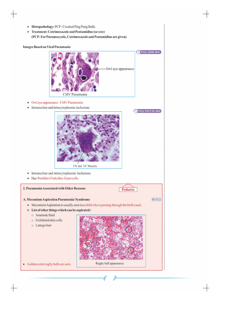 patho Preeti Prep New | PDF