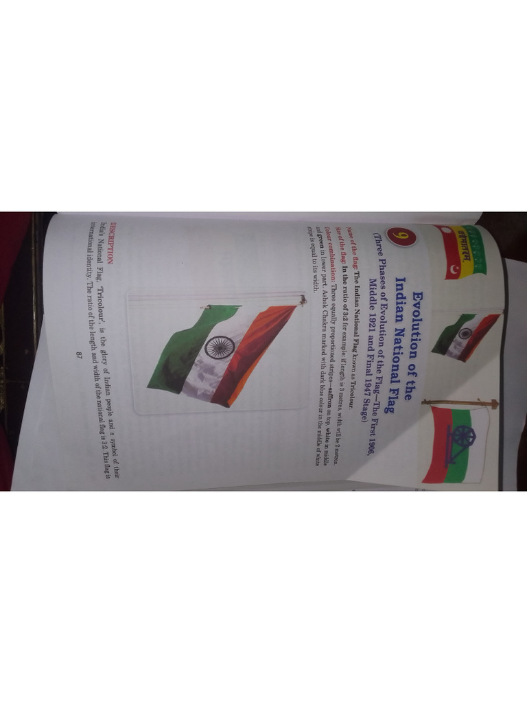 Indian National Flag | PDF