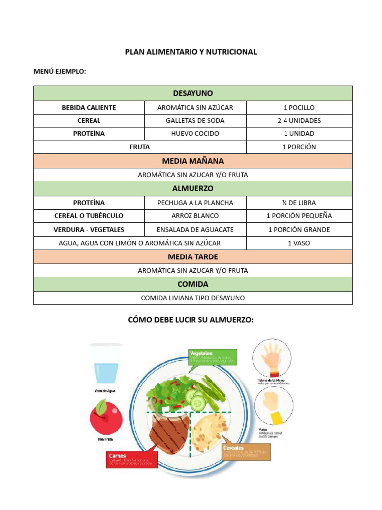 Plan Alimentario y Nutricional Saludable | PDF | Alimentos | Carne